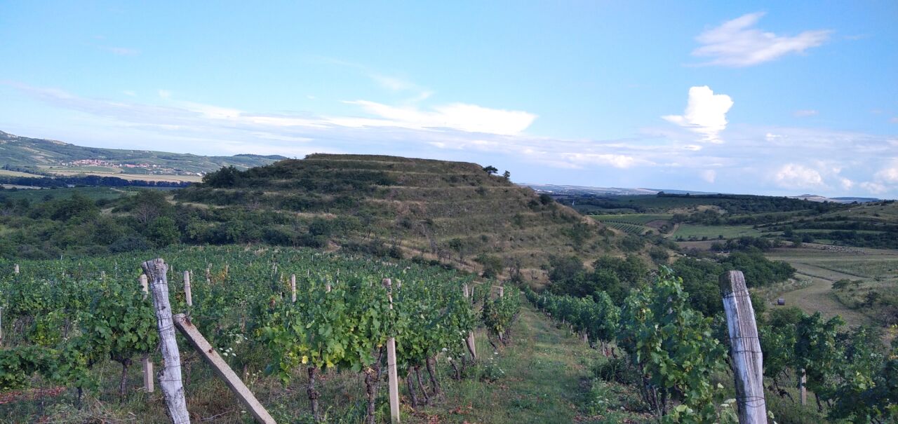 Velká Slunečná (281 m) - Dyjsko-svratecký úval | Horobraní